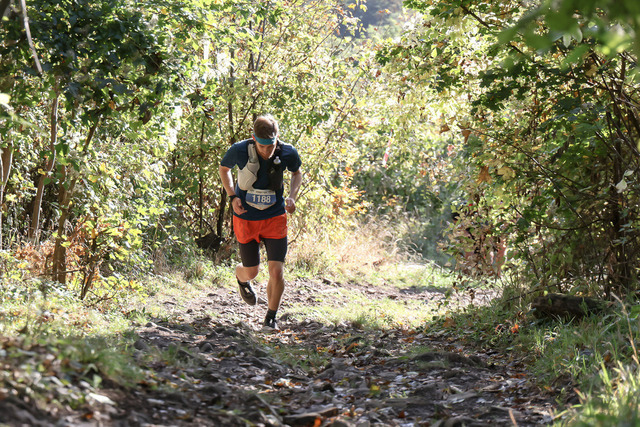 TrailrunVienna-2023_DL_20231015_09h24m59s_6482_R7 | vienna_trail_run