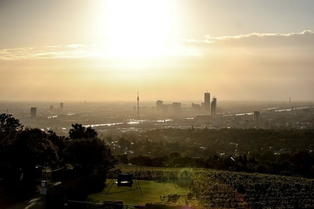 6.Vienna Trail Run 2023 | vienna_trail_run - Realisiert mit Pictrs.com